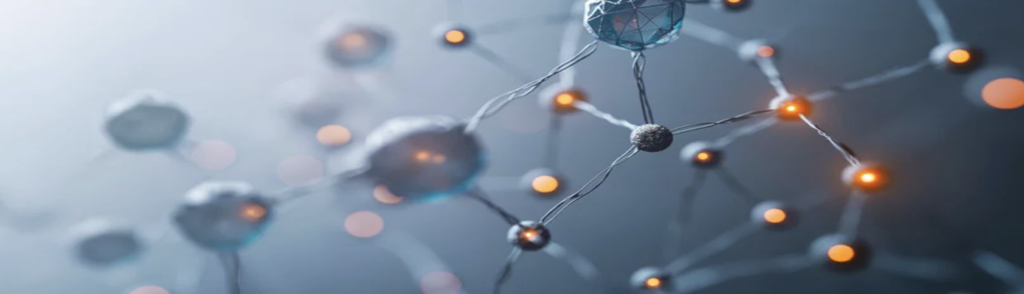 Elizabeth Bradley - Bradley Lab